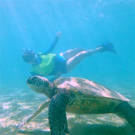 Kauai Tours And Activities