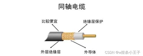 Windows与网络基础 23 传输介质 双绞线掌握基本的传输介质双绞线、光纤了解网络设备交换机、路由器能够组建局域网 Csdn博客