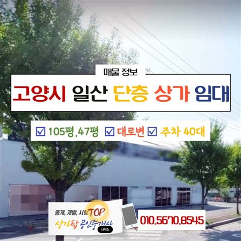 일산 고양시 단층 가든 상가 임대 매물 주차 40대 대로변 위치 훌륭 네이버 블로그
