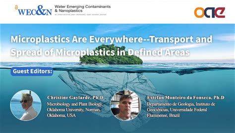 Water Emerging Contaminants And Nanoplastics