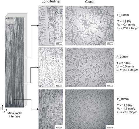 Typical Optical Microstructures Of Longitudinal Left And Cross Download Scientific Diagram