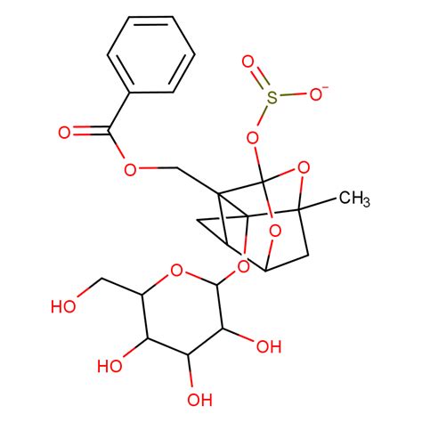 产品展厅 上海萄普生物医药技术有限公司