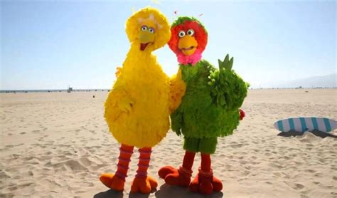 Así Luce Y Se Llama Big Bird De Plaza Sésamo En Todos Los Países La
