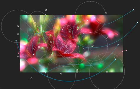 How To Create Realistic Bokeh And Blur Effects Using Photoshop
