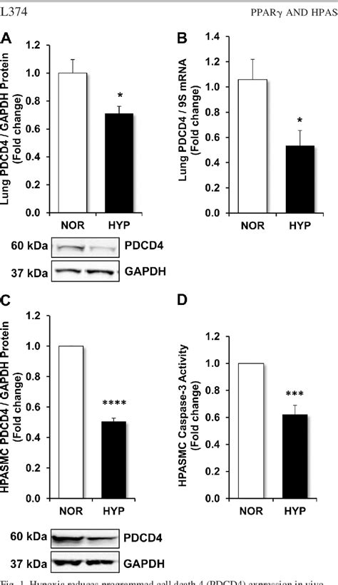 Figure 1 From Peroxisome Proliferator Activated Receptor γ Enhances