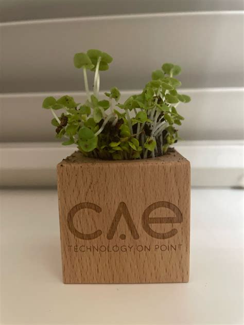 David Azzopardi On Linkedin Opportunities Personaldevelopment Doingitdifferent