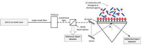 Experimental Setup For Spr Lc Biochemical Sensor Download Scientific