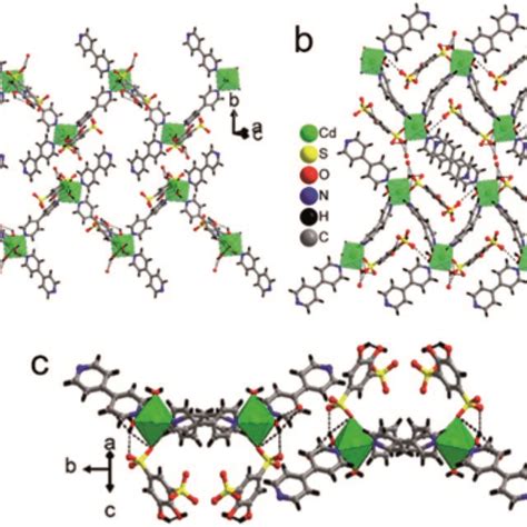 H Bonding Network Pattern In The Lattice Of 1 A C Viewing From Download Scientific Diagram