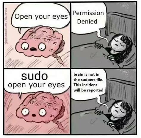 Not Oc R Programmerhumor