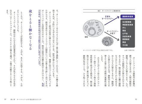 楽天ブックス 不老長寿の食事術 オートファジーで細胞から若返る 吉森 保 9784046063670 本