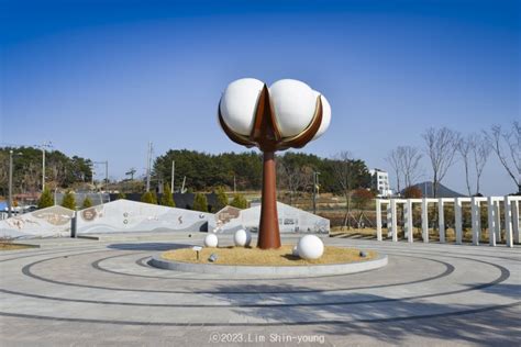 목포볼거리 전남가볼만한곳 고하도 목화체험장 네이버 블로그