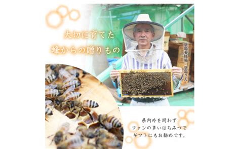 簗場養蜂場 非加熱 生はちみつ アカシア 500g 2本 ／ はちみつ 蜂蜜 ハチミツ 国産 【あねっこ】 岩手県雫石町 セゾンのふるさと納税