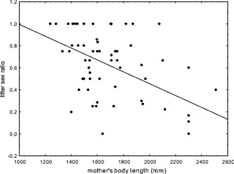 Relationship Between The Litter Sex Ratio And The Mothers Body Length