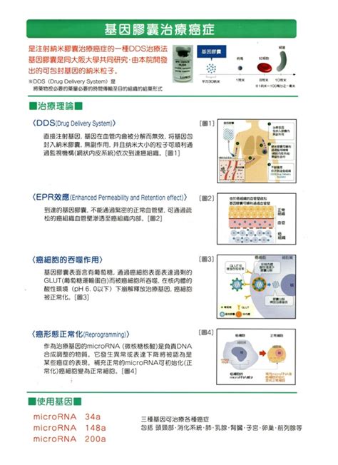 日本新型基因纳米胶囊 介绍资料 传祺国际健康