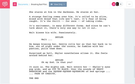 Breaking Bad Pilot Script Pdf Download — Script Analysis