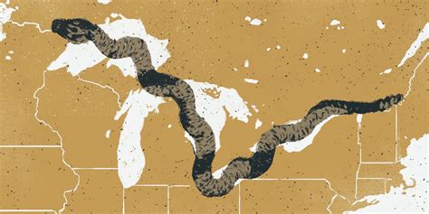 Flipping Tin Searching For Ohios Eastern Massasauga Rattlesnakes