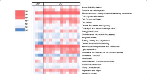 Functional Analysis The Picrust Software Was Used To Analyze The