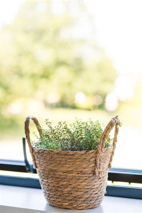 Thyroid Health And Autoimmunity — Kate Potter Nutrition