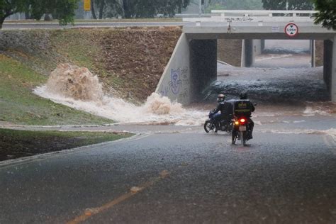 Vídeo Chuva Forte Derruba árvores E Causa Alagamentos No Df Metrópoles