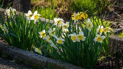 Priest Point 2010005 Ginny Winblad Flickr