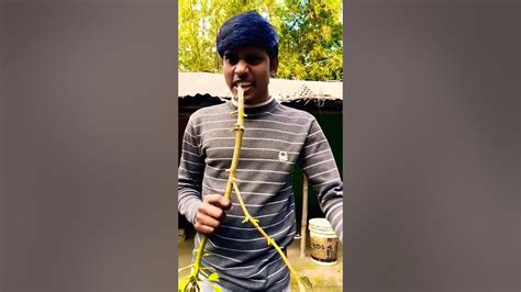 Funny Humor Comedy Fun Comedia Ytshorts Youtube