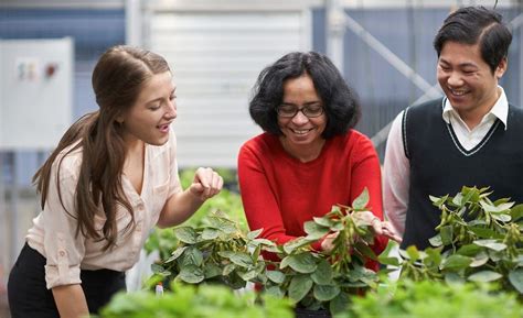 Jennifer Mcdonnell Sheher On Linkedin Research Experience For Undergraduates Danforth
