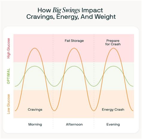 Blog Understanding Your Glucose Curve Glucosensor