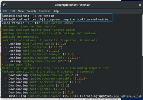 零基础安装、启动dcat Admin框架dcat Admin Csdn博客