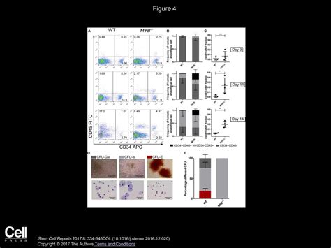 Human Induced Pluripotent Stem Cell Derived Macrophages Share Ontogeny