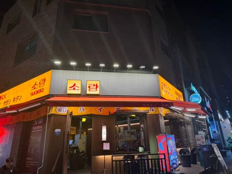 내돈내산 2동탄 야끼니꾸 맛집 소량 방문리뷰 네이버 블로그