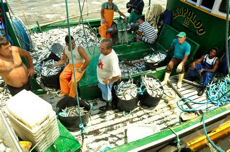 Cadastramento E Recadastramento De Pescadores A Cidade Costa Verde