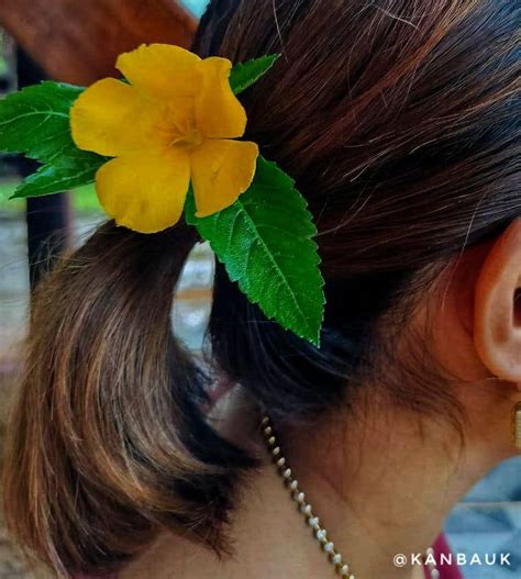 Dvb ဒေါ်အောင်ဆန်းစုကြည် မွေးနေ့အထိမ်းအမှတ် ကံပေါက်တွင် ပန်းသပိတ်ပ