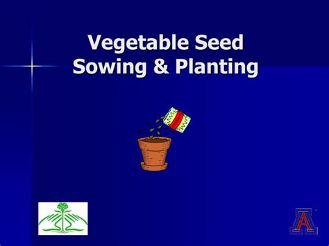 Ppt Vegetable Seed Sowing And Planting Powerpoint Presentation Free