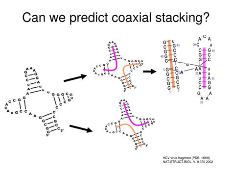 Ppt Towards Rna Structure Prediction 3d Motif Prediction And