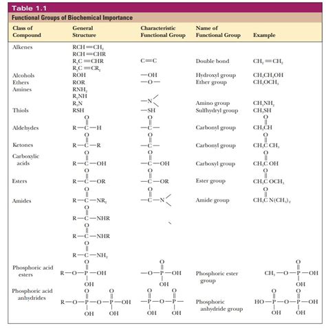 Functional Groups Biochemistry