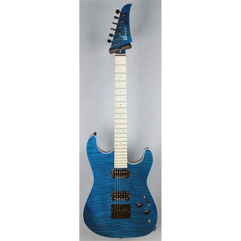 Halo Custom Guitars Clarus 6 String With Evertune