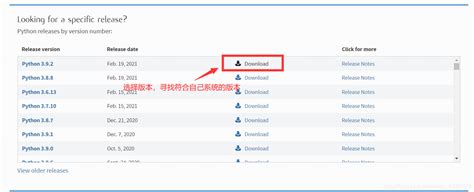 Python环境配置详细讲解（从下载到安装）xz Compressed Source Tarball Csdn博客