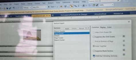 Watermark In Crystal Report Not Showing At All Vbforums