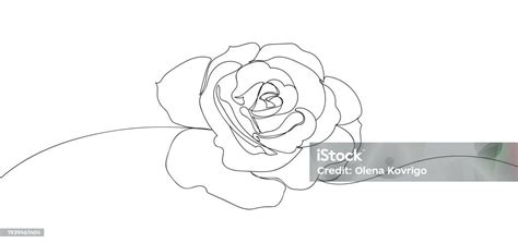 장미 꽃은 로고 또는 엠블럼에 대 한 단일 연속 선 그리기 스타일입니다 현대 벡터 일러스트 레이 션 0명에 대한 스톡 벡터 아트 및 기타 이미지 Istock