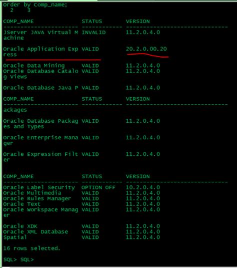 Unlocking The Power Of Oracle Apex A Step By Step Guide To 19 Version