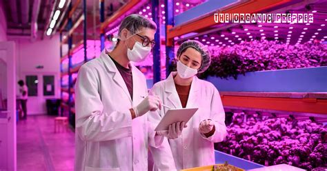 Bold Goals Bidens Eo Will Have Us Bioengineering Everything