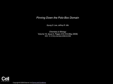 Pinning Down The Polo Box Domain Ppt Download
