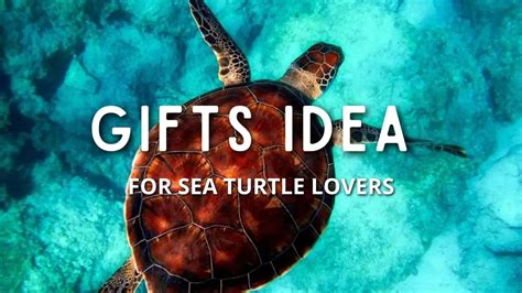 Ts Idea For Sea Turtle Lovers