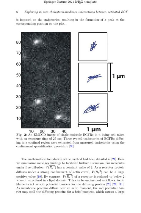 Springer Nature American Physical Society Aps Reference Style