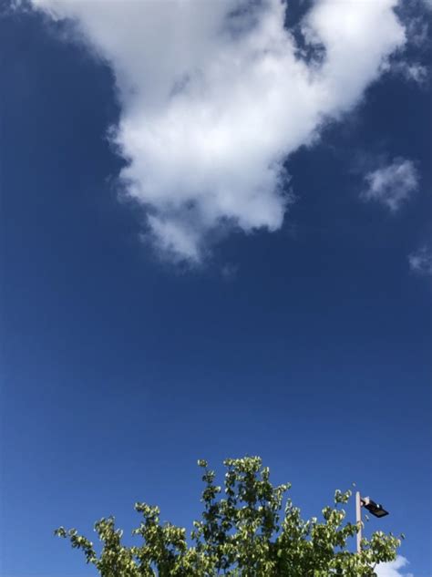 感動が伝わる写真を撮るために写真家こばやしかをる後編 スクールマガジン 公募スクール