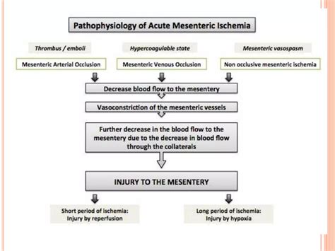 Mesenteric Ishemia Ankur Pptx