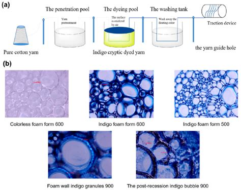 Process Sequence For Foam Dyeing On Yarn With Indigo Dyes A