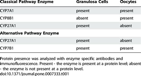 Presence Of Bile Acids Synthesis Enzymes In Human Ovarian Follicle