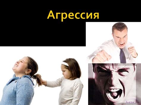 Модель поведения - агрессия - презентация онлайн