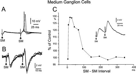 Paired Pulse Facilitation Of Medium Ganglion Cells In Response To